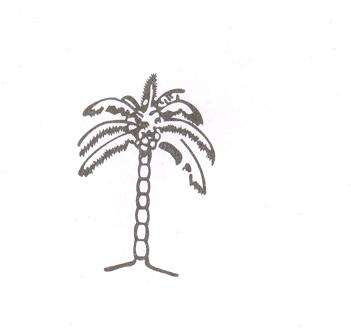 coconut voting symbol